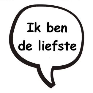 strijkmotief praatwolkje applicatie velours liefste flock